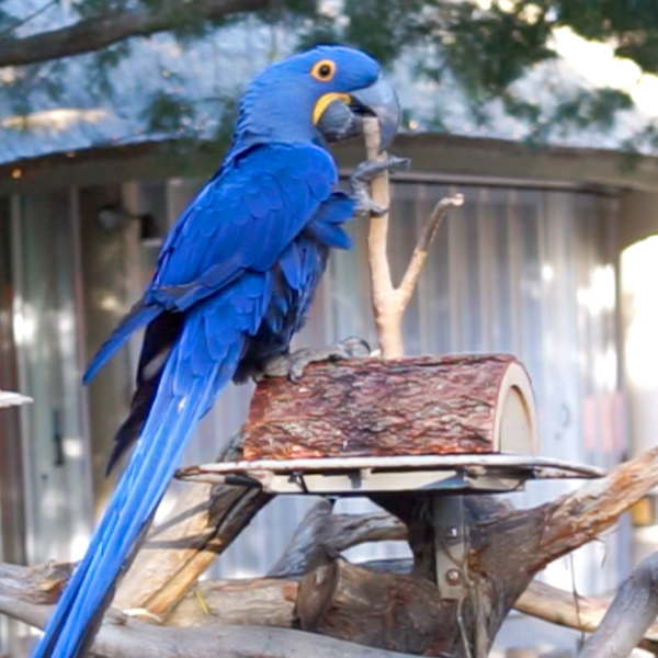 Rébecca Kleinberger | Publications